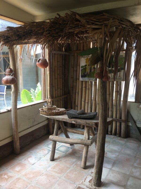 The Roatan Chocolate factory & Rum Company tour | Roatan Tours